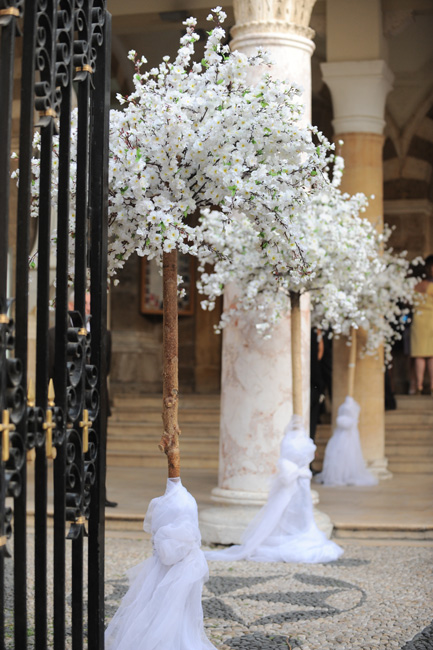 Holy Communion - Terraflora