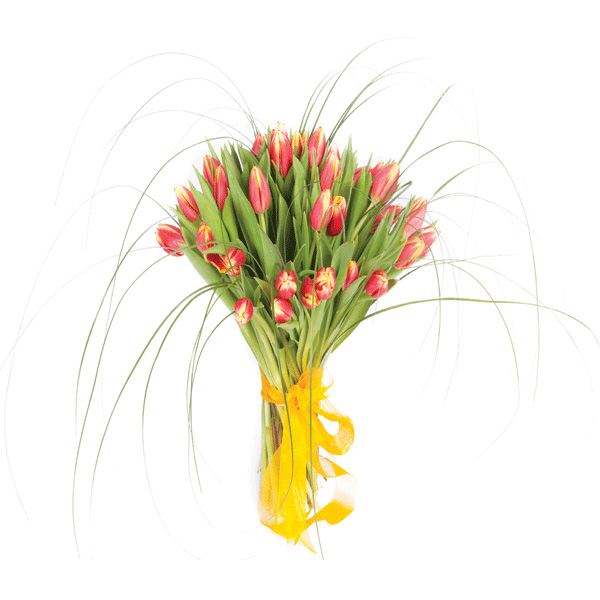 Terra Flora | Best Flower Shop in Lebanon | Top Flowers Store