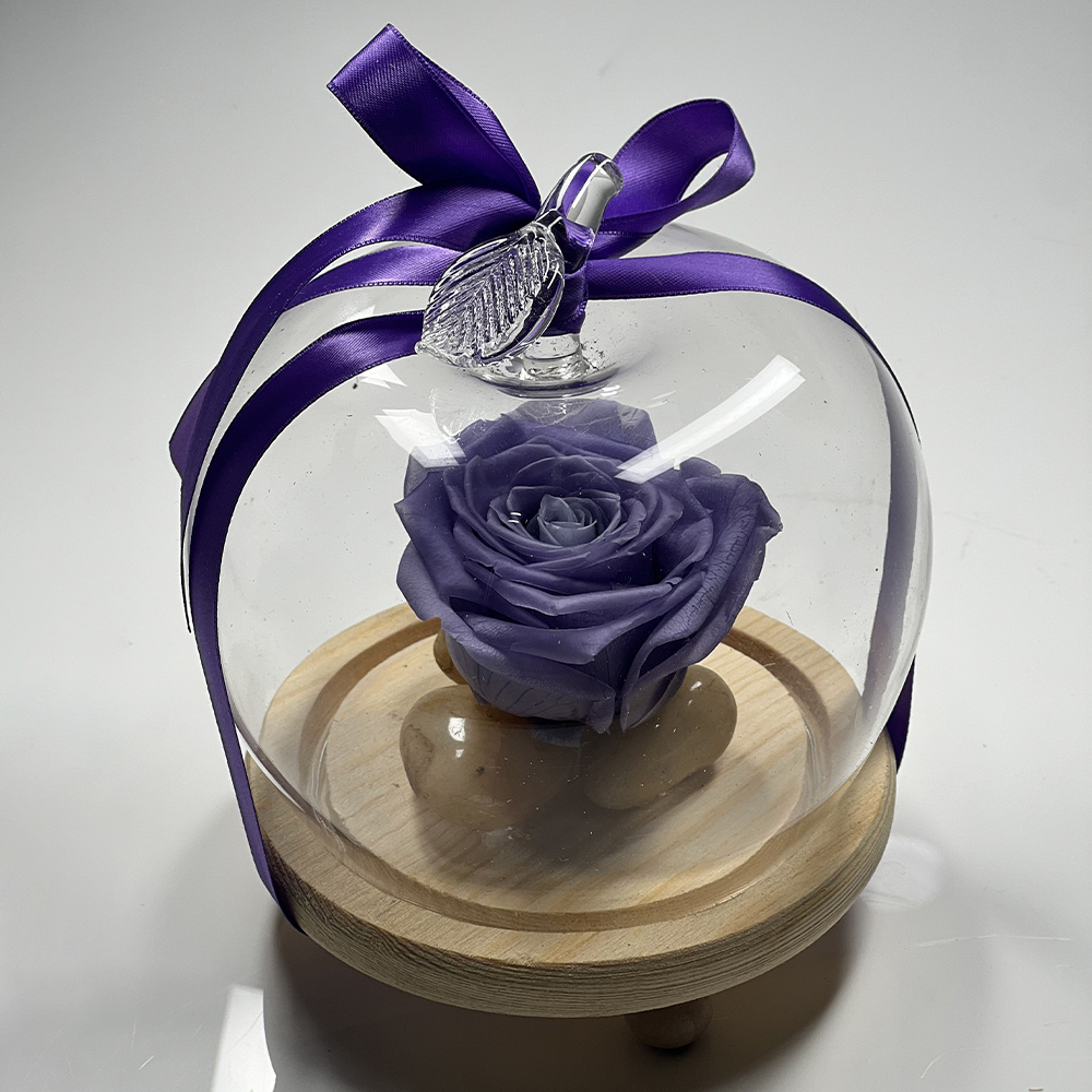 Infinite Bloom - Terraflora