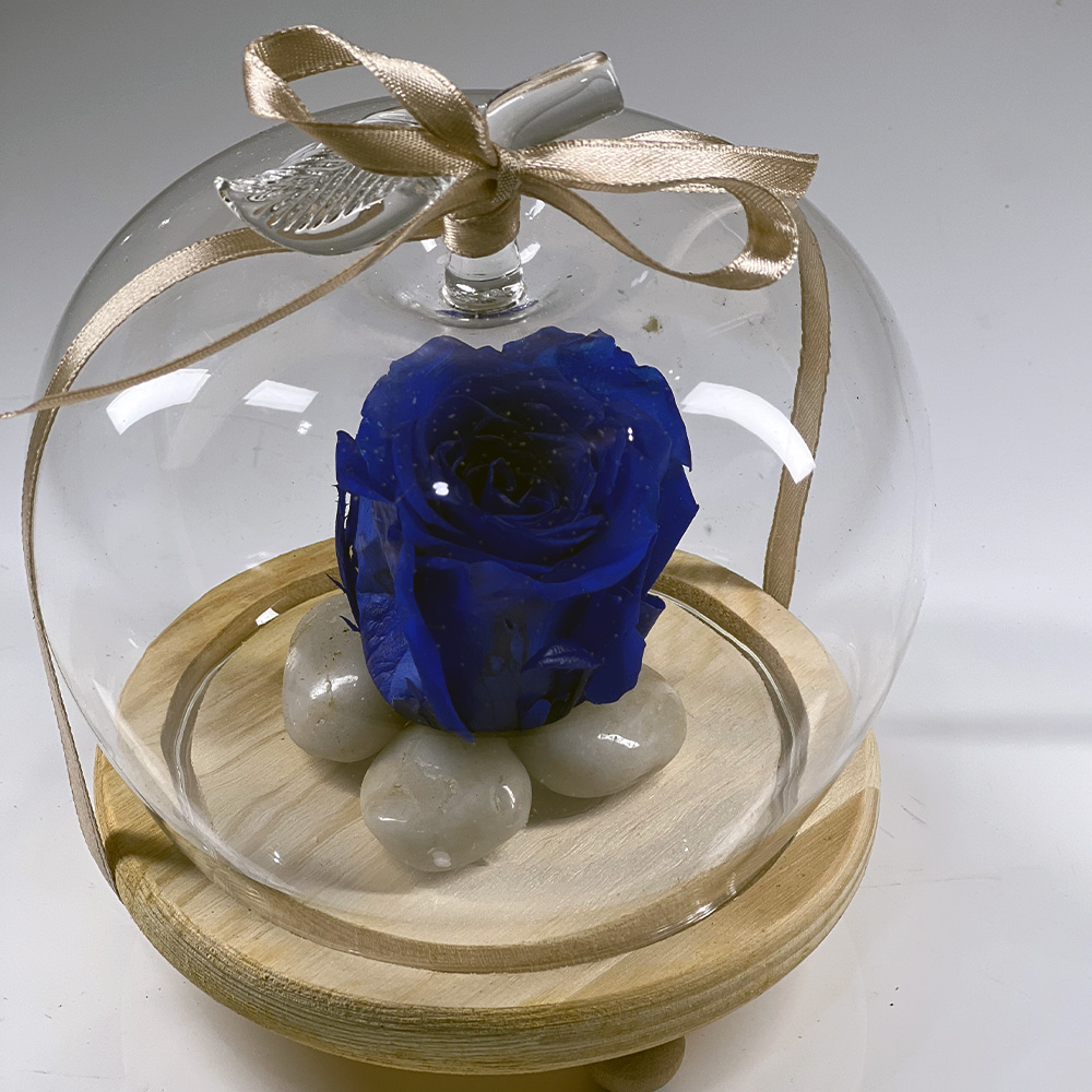 Infinite Bloom - Terraflora