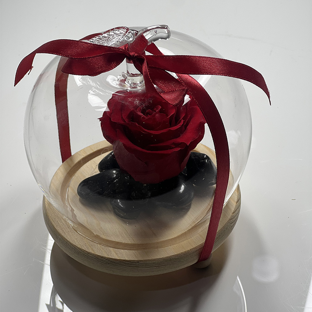 Infinite Bloom - Terraflora