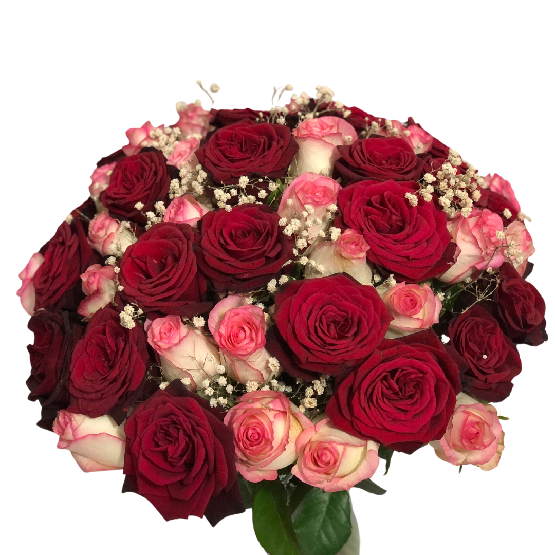 Terra Flora | Best Flower Shop in Lebanon | Top Flowers Store